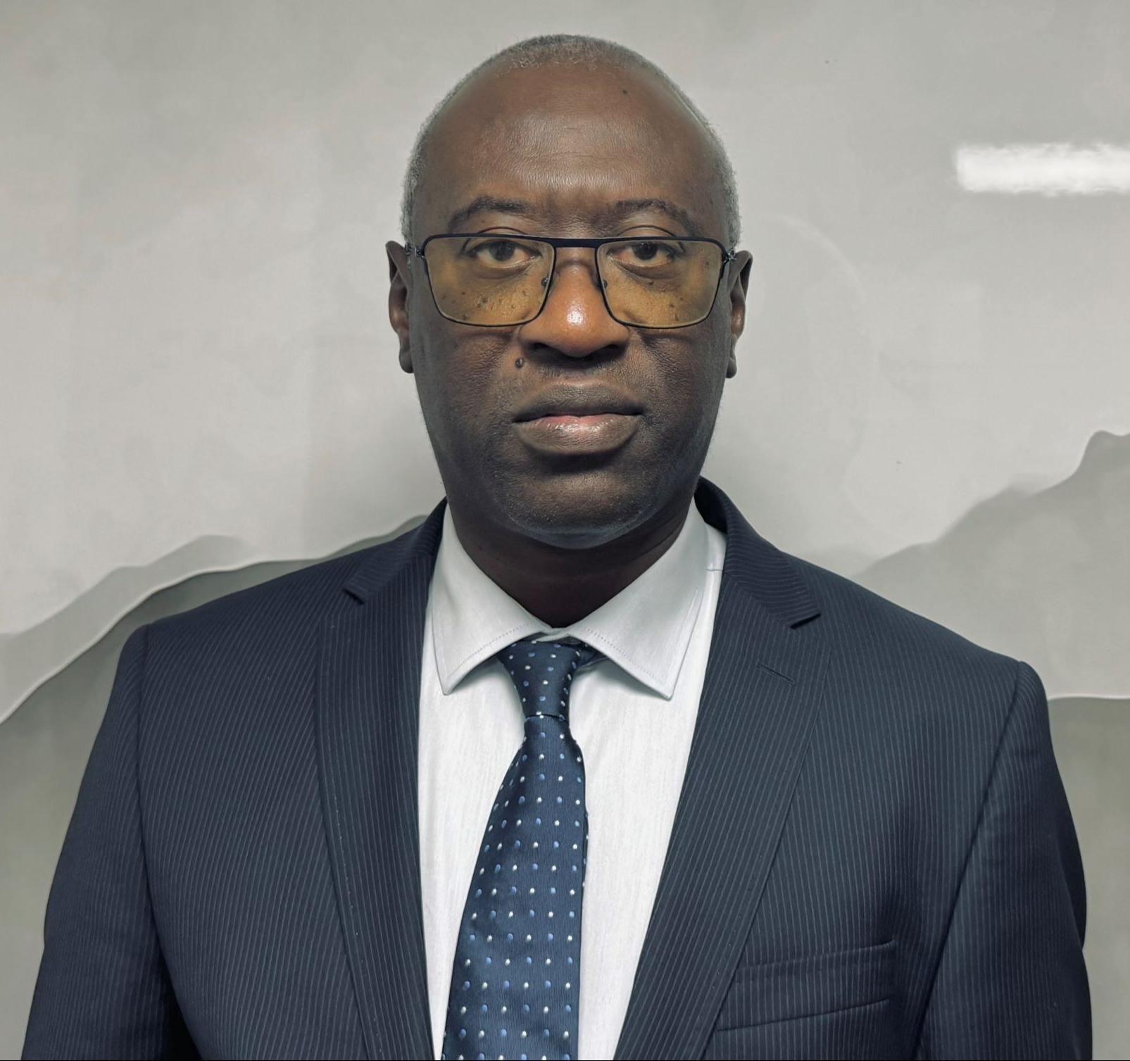 2025 Programme - The African Financial Summit Platform